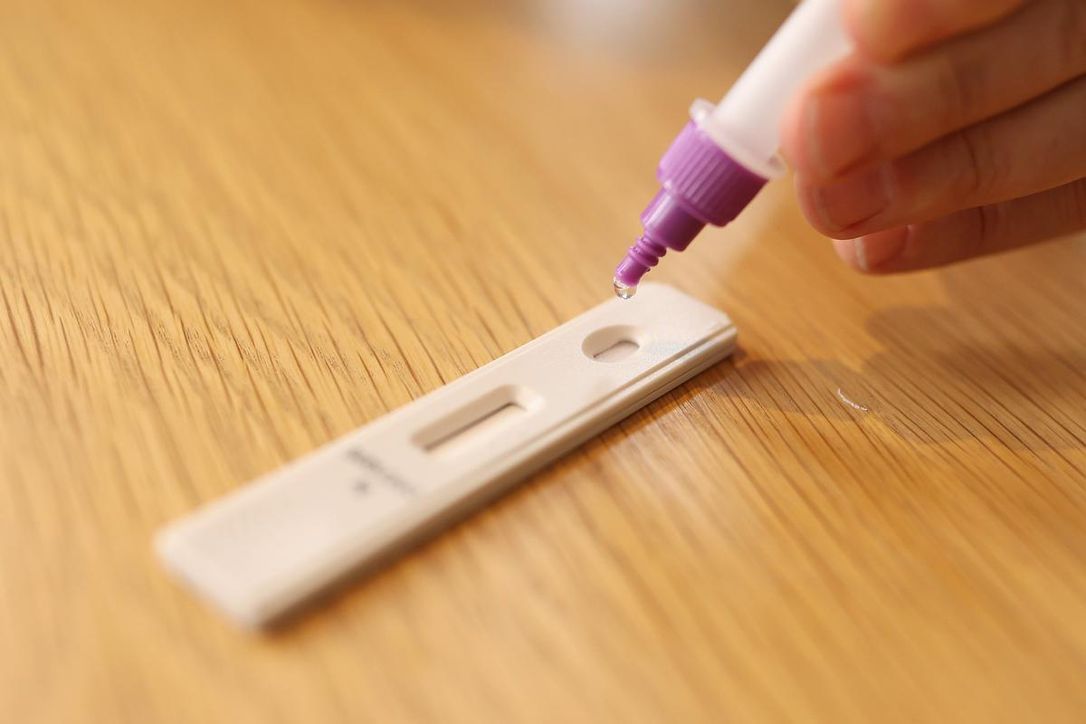 How to use a Rapid Covid Test? Where to Buy? WE HAVE IN STOCK NOW! AVA ...